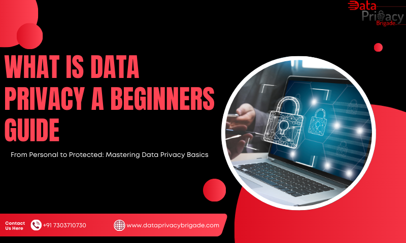 What is Data Privacy? A Beginner’s Guide - Data Privacy Brigade